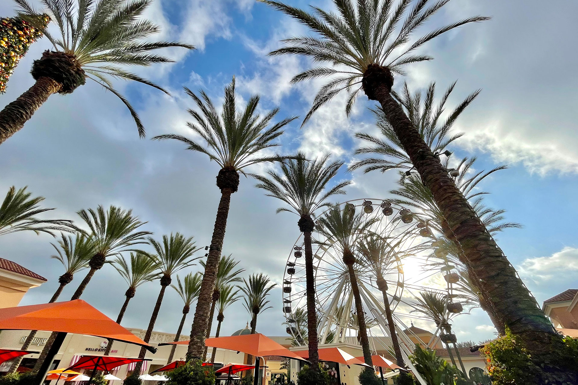 Terry Fletcher Consulting, Inc. | Terry Fletcher Consulting, Inc ...