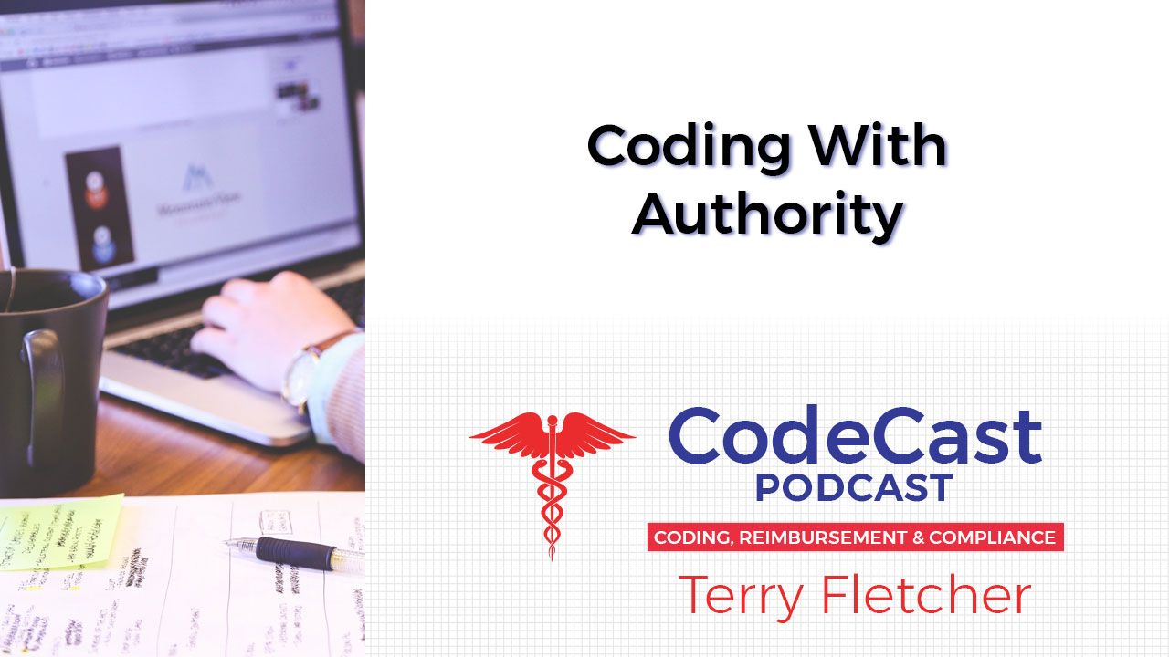 Terry Fletcher Consulting, Inc. | Coding With Authority - Terry ...