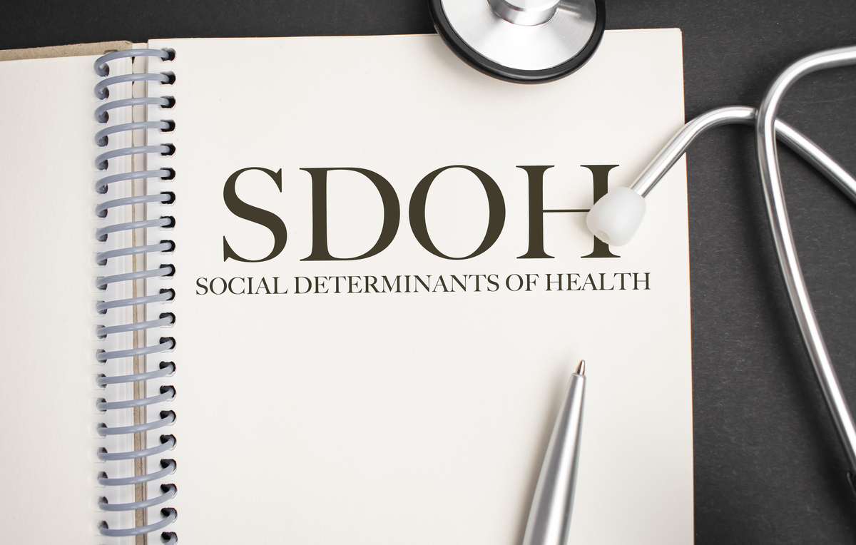 Terry Fletcher Consulting, Inc. | How to Interpret the SDoH Assessment ...